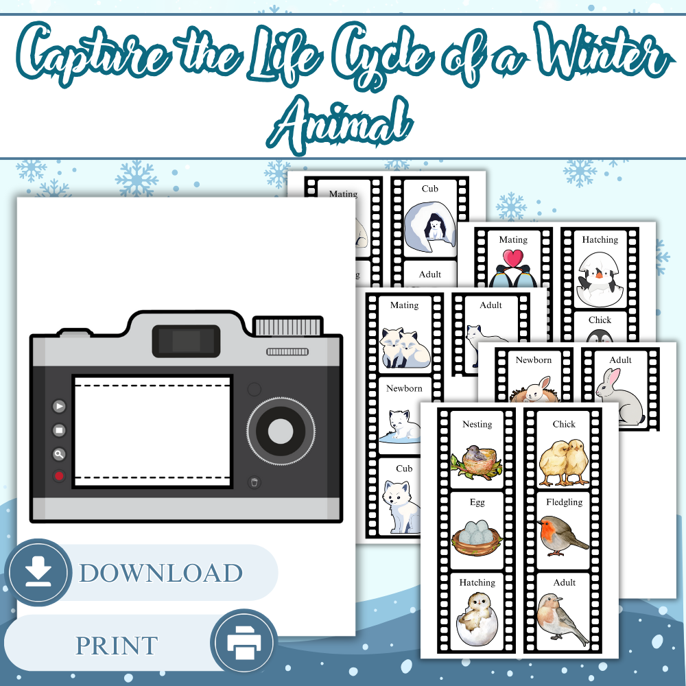 Winter Animal Life Cycle Study Pack – Arts Crafts Learning
